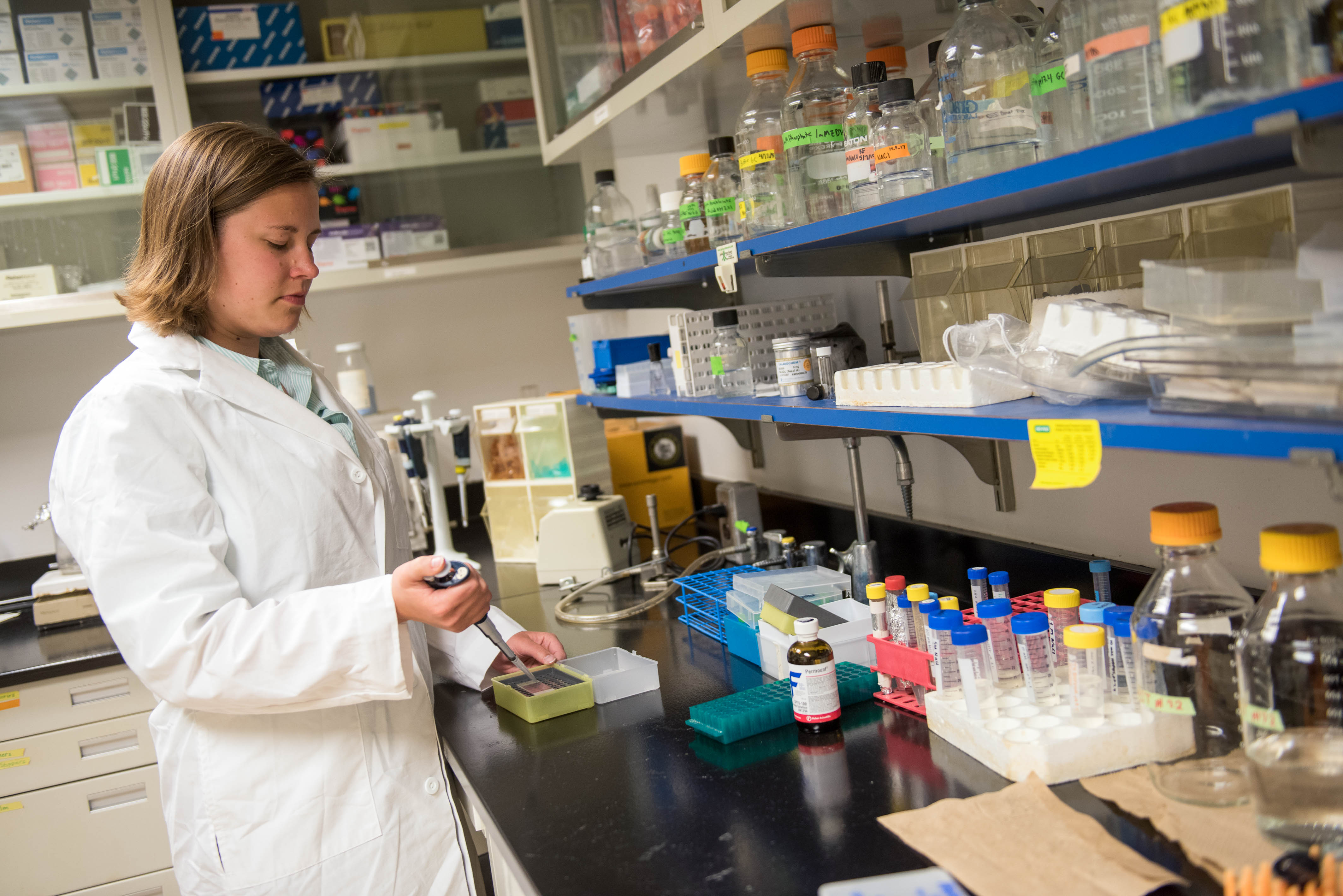 Medical research reduces deaths in areas where it is created