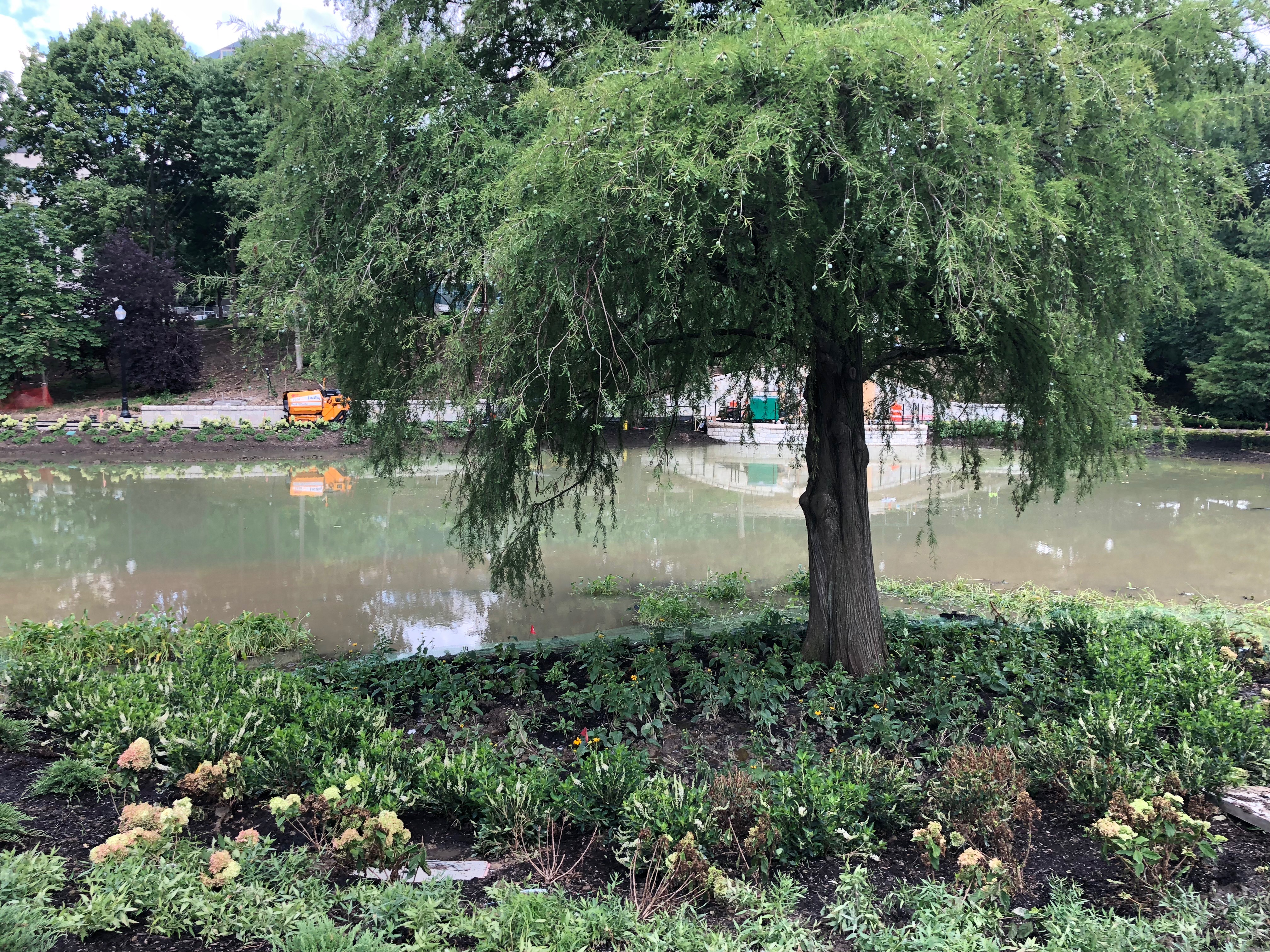 Renovated Mirror Lake nears completion