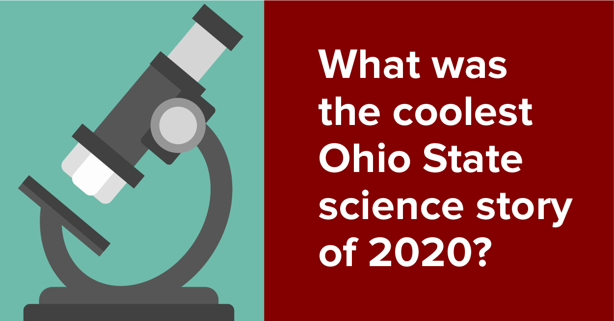 Human brains pre-wired for words is coolest science story of 2020