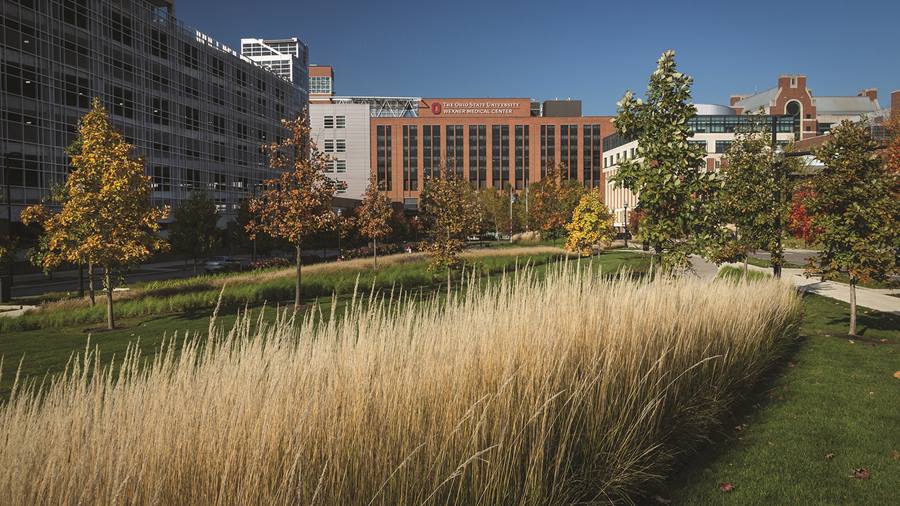 Ohio State Wexner Medical Center among nation’s best in 10 specialty areas