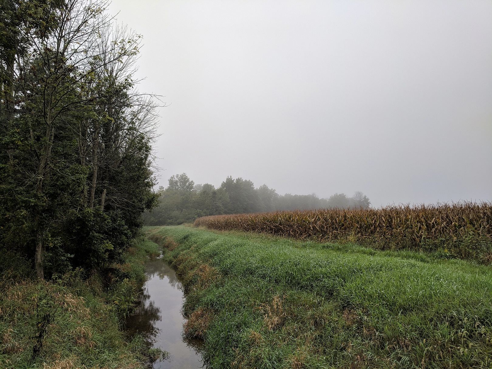 Ohio State to lead $18 million project to improve Lake Erie water quality