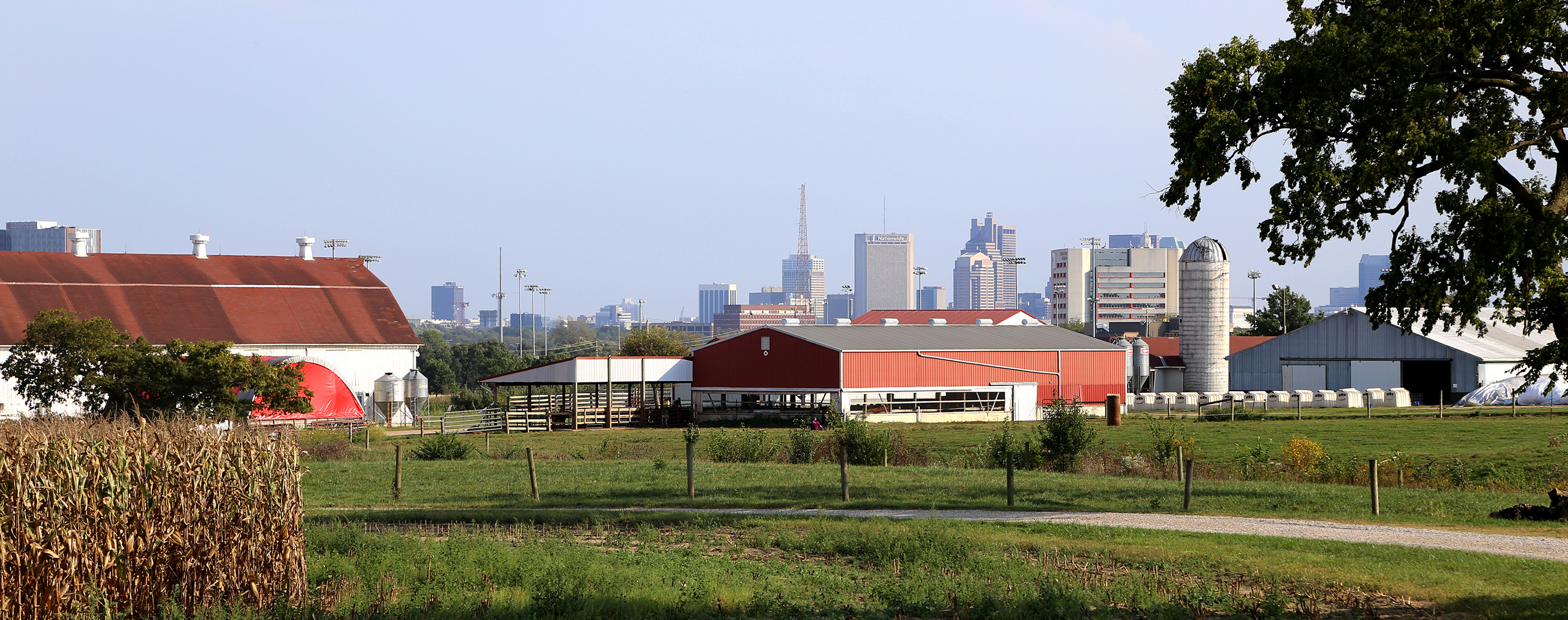 Nationwide Foundation approves $7M grant to CFAES