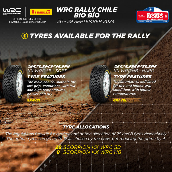 RALLY CHILE, THE SOFT SCORPION CONFIRMED AS THE PRIME CHOICE
