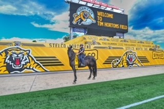 Hamilton Police Service Names New Mounted Unit Horse 'TC'