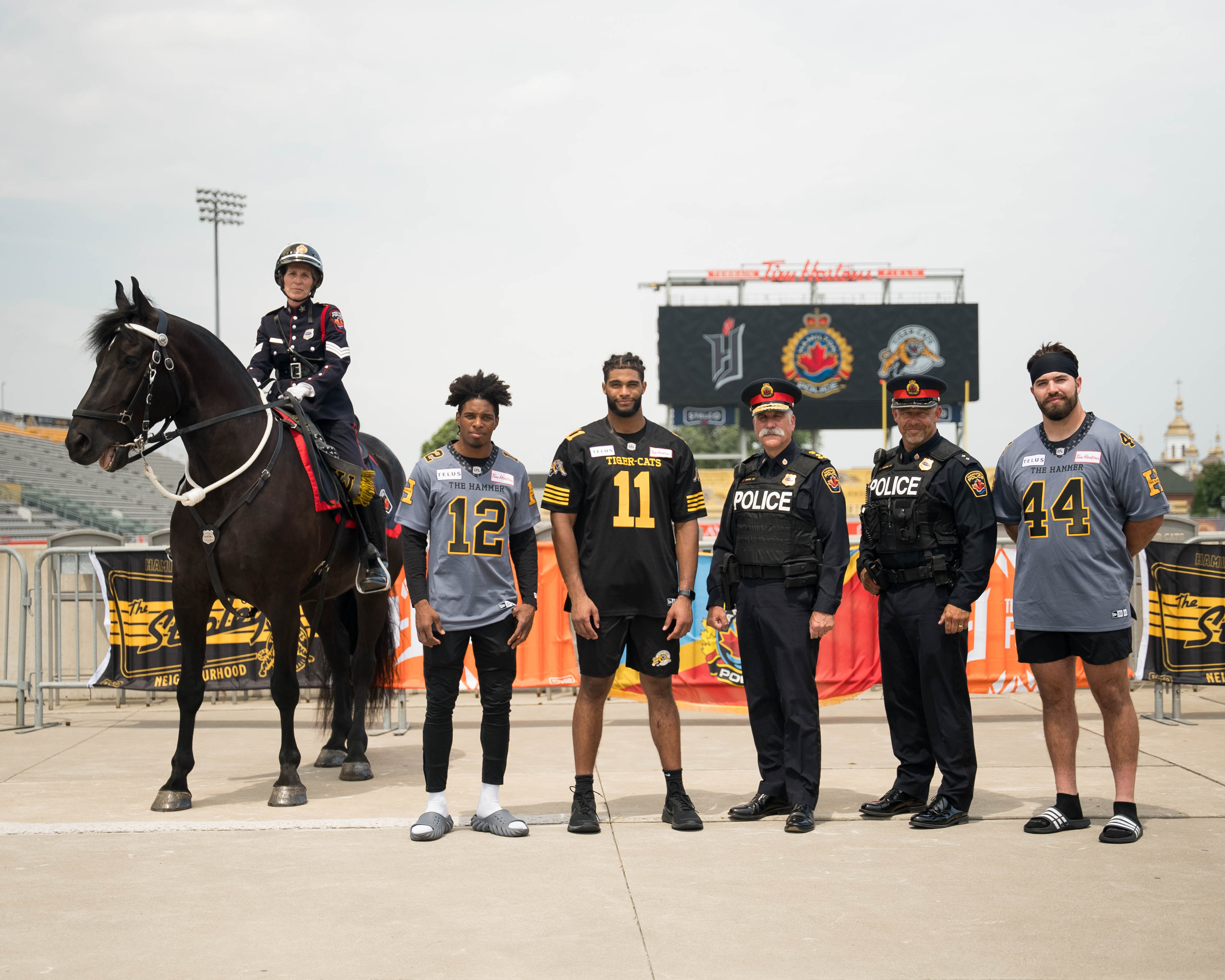 Hamilton Police Service Names New Mounted Unit Horse 'TC'