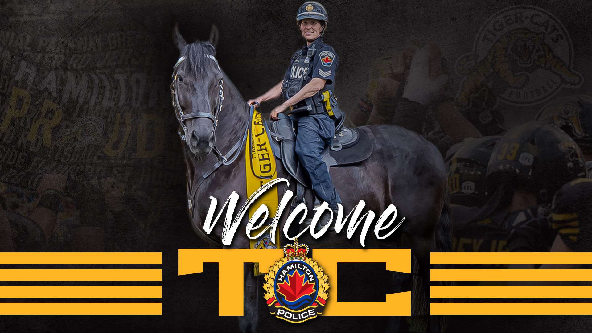Hamilton Police Service Names New Mounted Unit Horse 'TC'