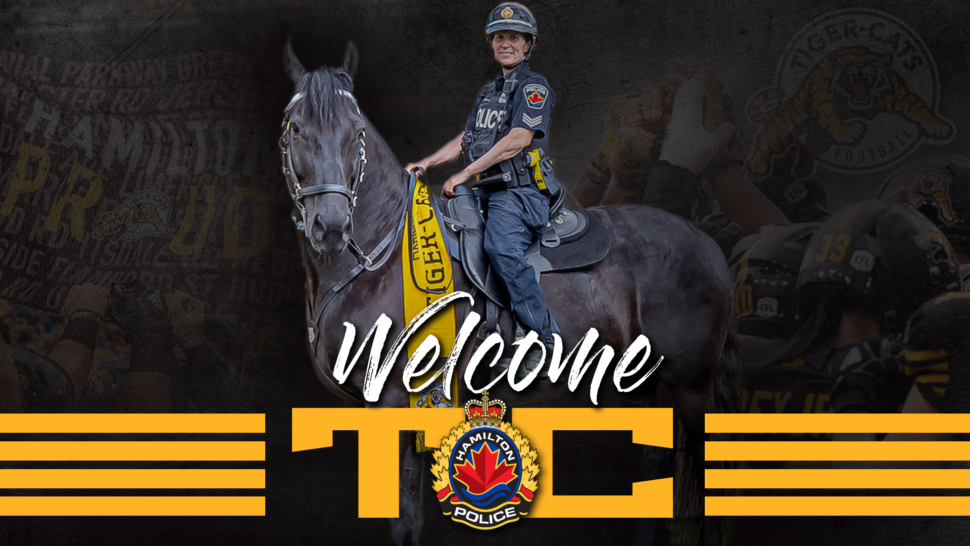 Hamilton Police Service Names New Mounted Unit Horse 'TC'