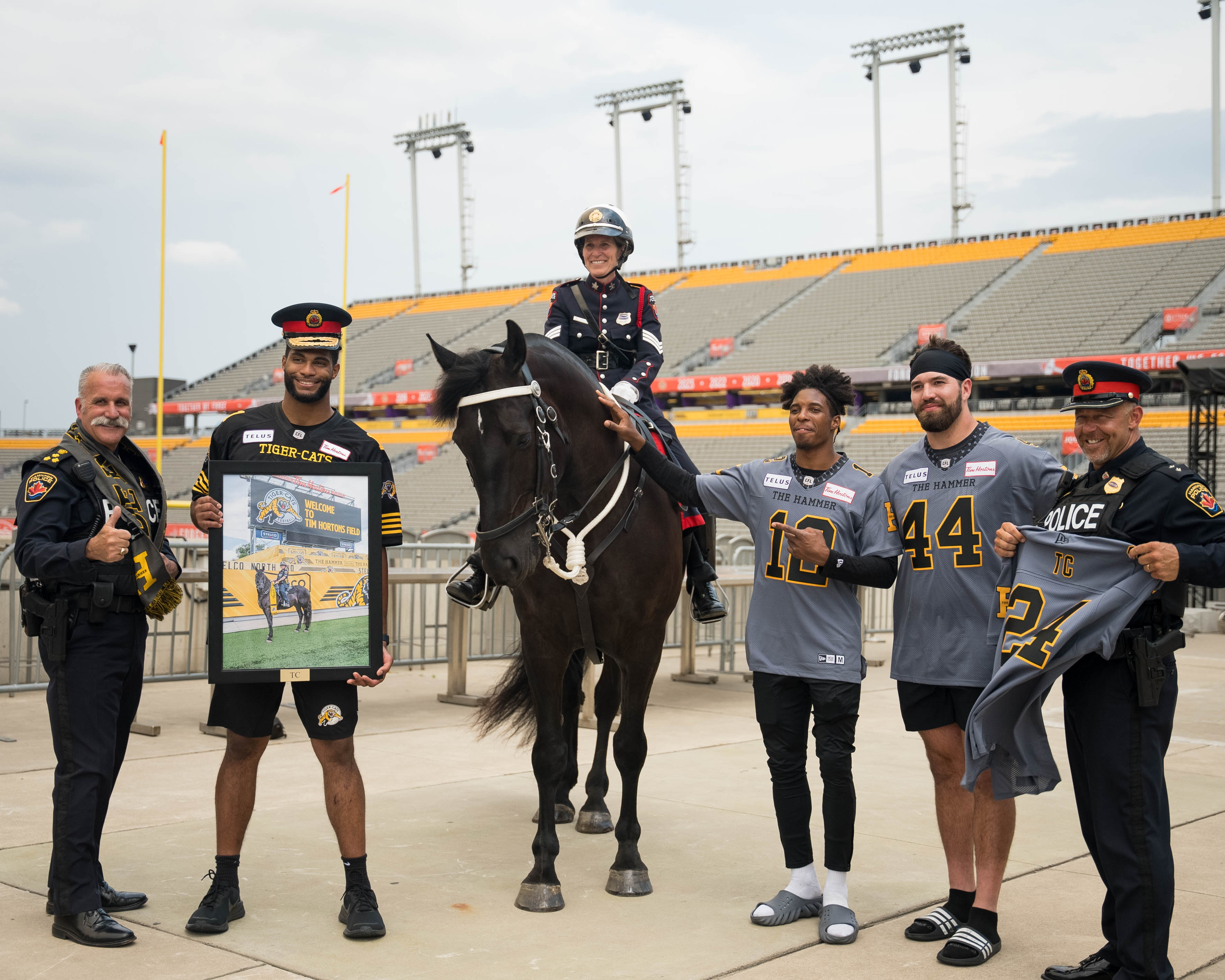 Hamilton Police Service Names New Mounted Unit Horse 'TC'