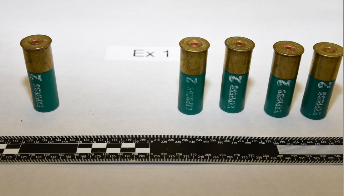 Police Seize Loaded Shotgun During Overnight Traffic Stop