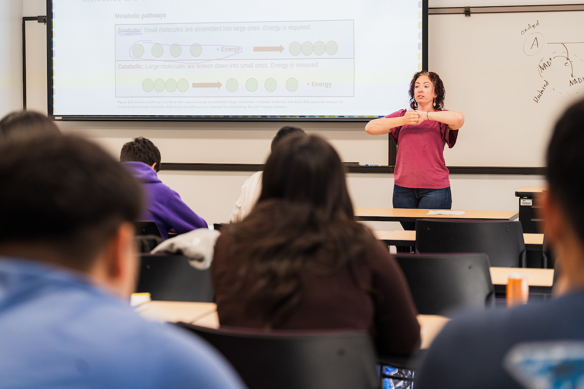 Region One ESC, STC Partner to Strengthen Teacher Certification Pipeline