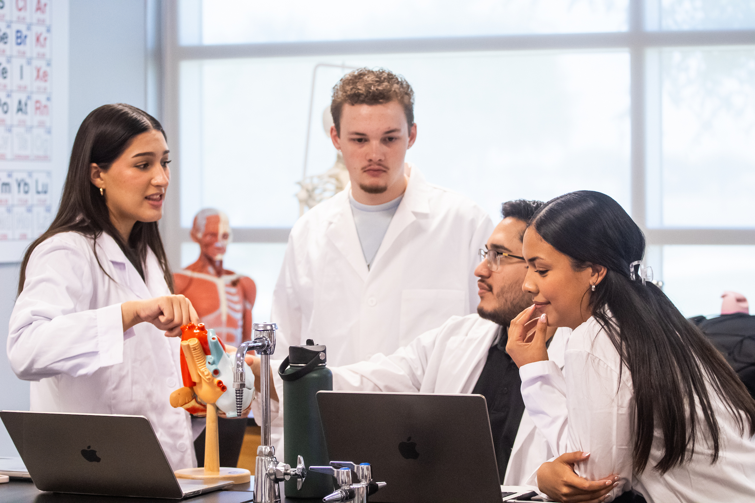 STC to launch new Biology to Nursing and Health Professions track in 2026