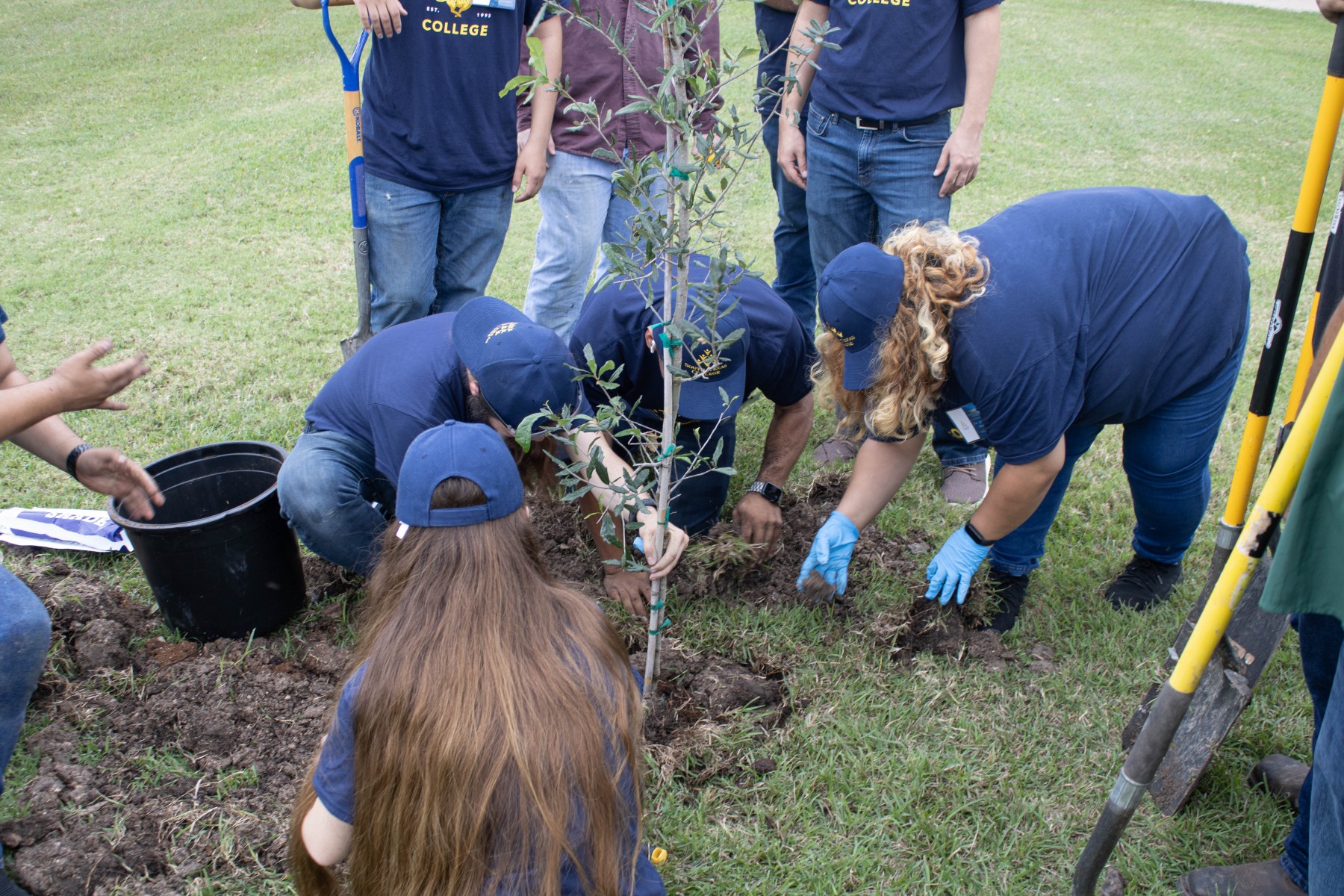 STC students take action and celebrate Arbor Day by planting trees on ...