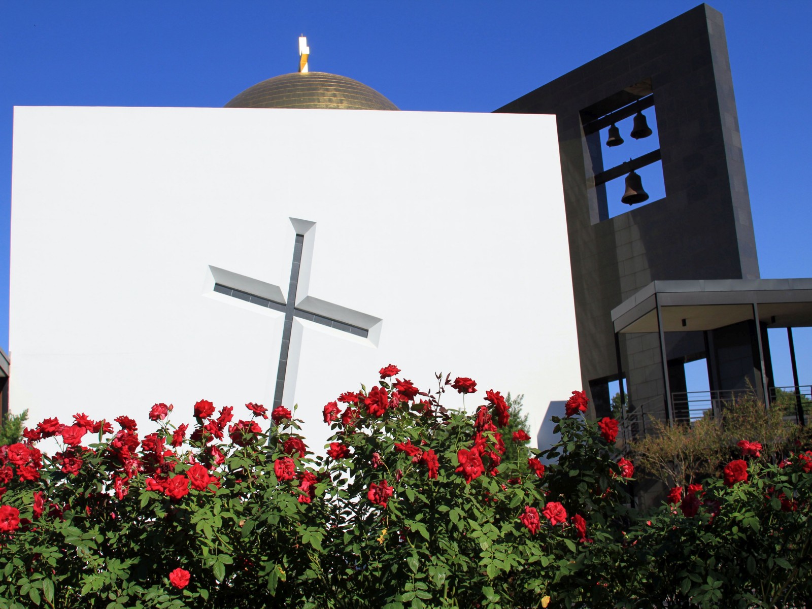 Pope Names Emilce Cuda As First Woman in Role