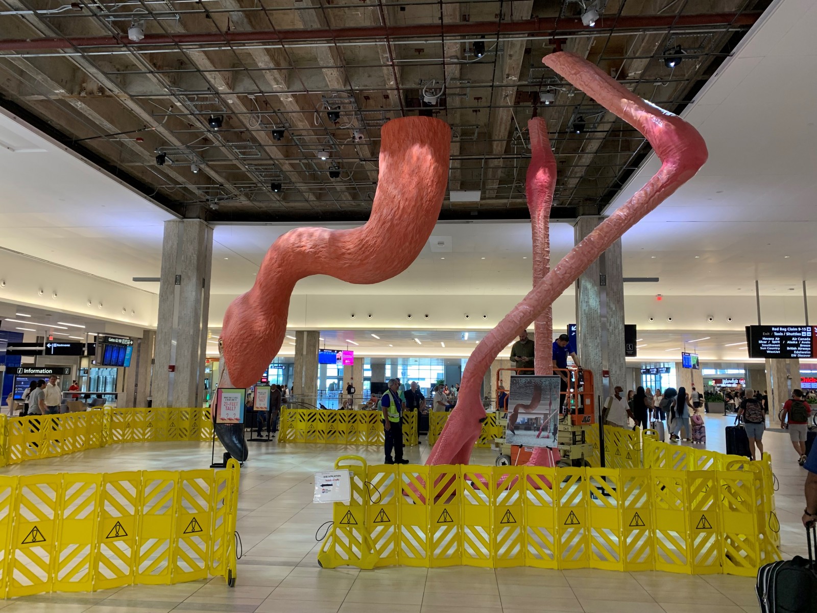 Progress Update: Work on TPA’s Flamingo is nearing completion