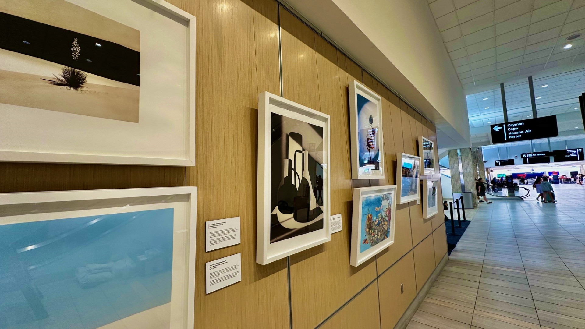 Special exhibit to feature International Photography Competition ...