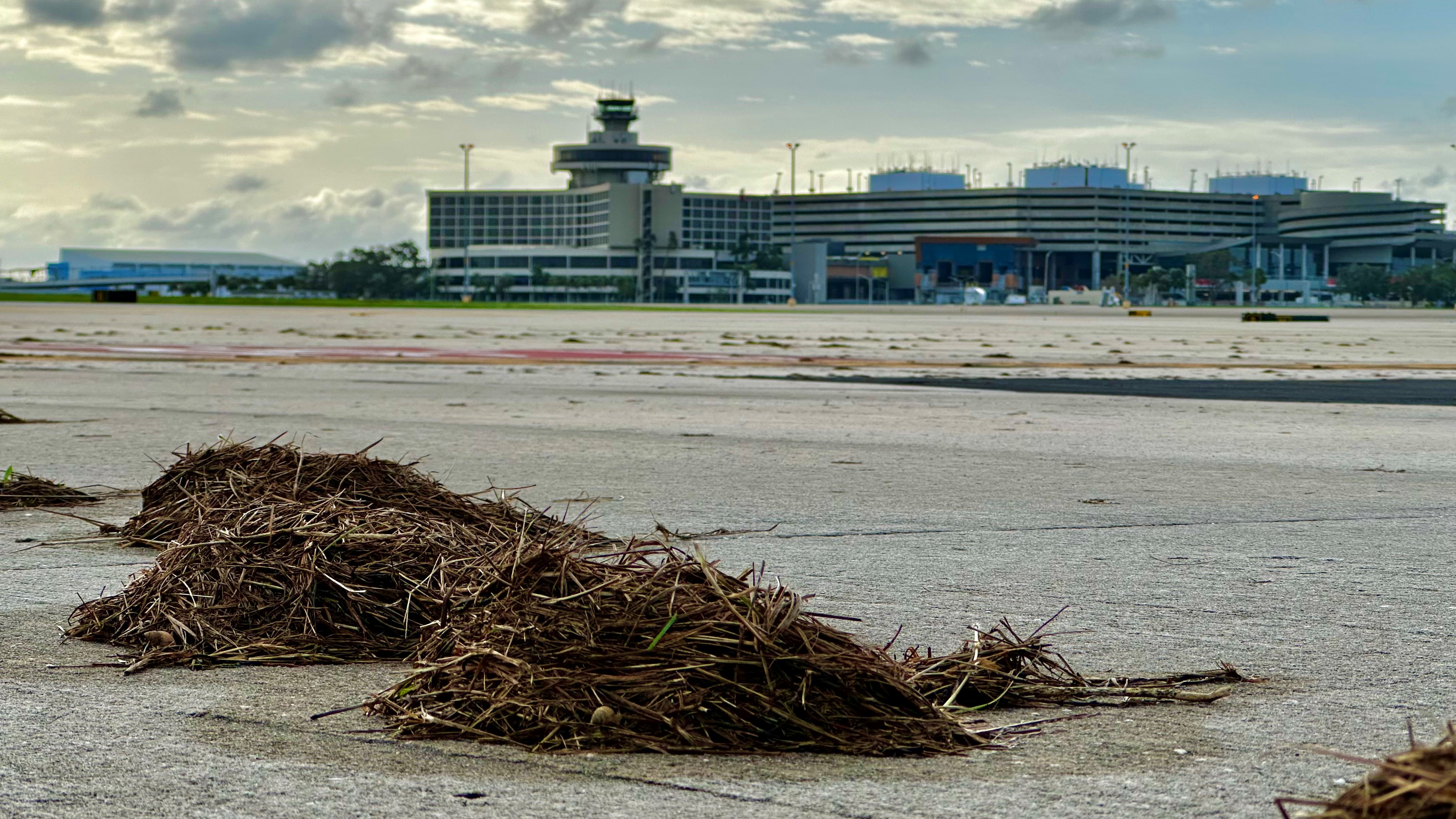TPA reopens following Hurricane Milton