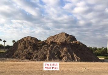 The real story behind those mounds on the ground