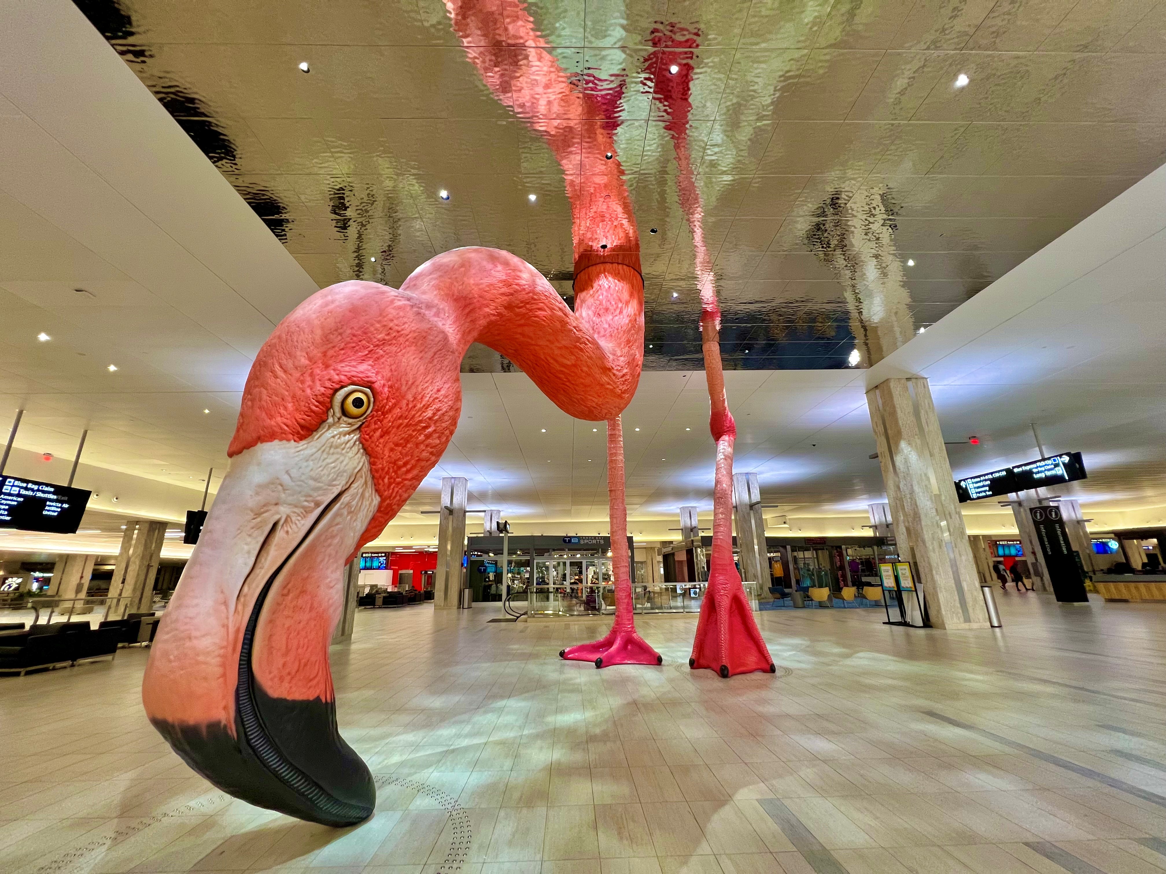 Name that bird! TPA launches contest to name its famous flamingo sculpture