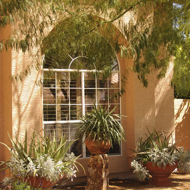 SRP Helps Customers Keep Tree Planting Resolutions in 2025