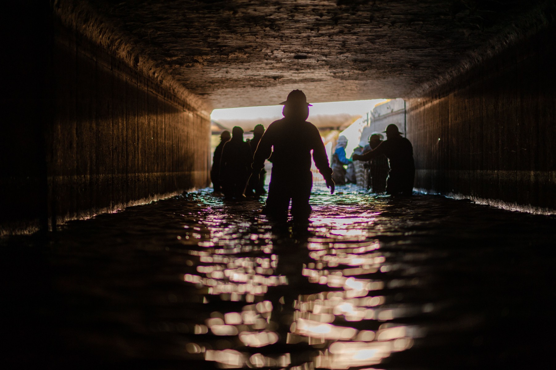 SRP Canal Dryup & Fish Herding