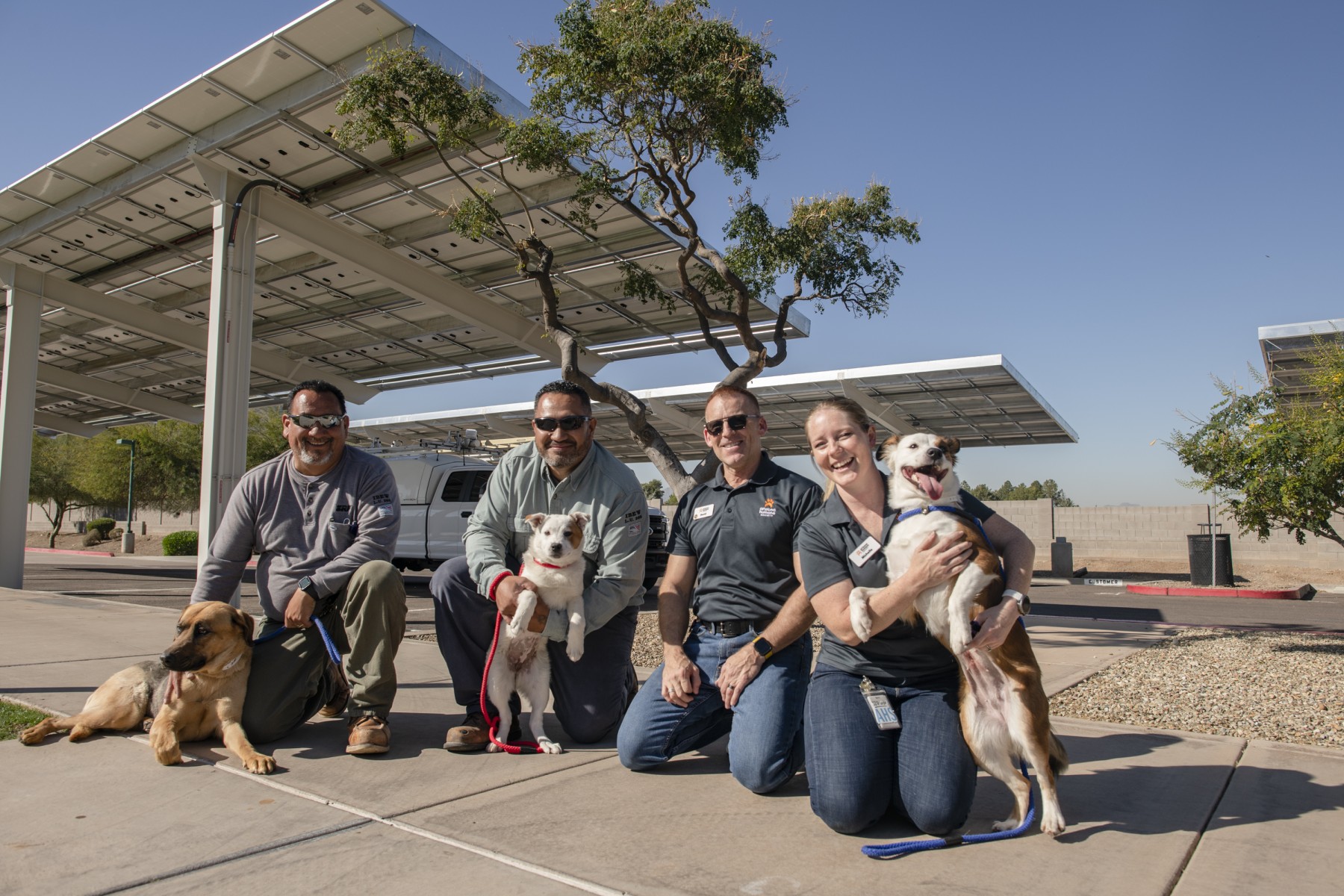 More Arizona Pets in Need will Benefit Thanks to Solar Energy Program