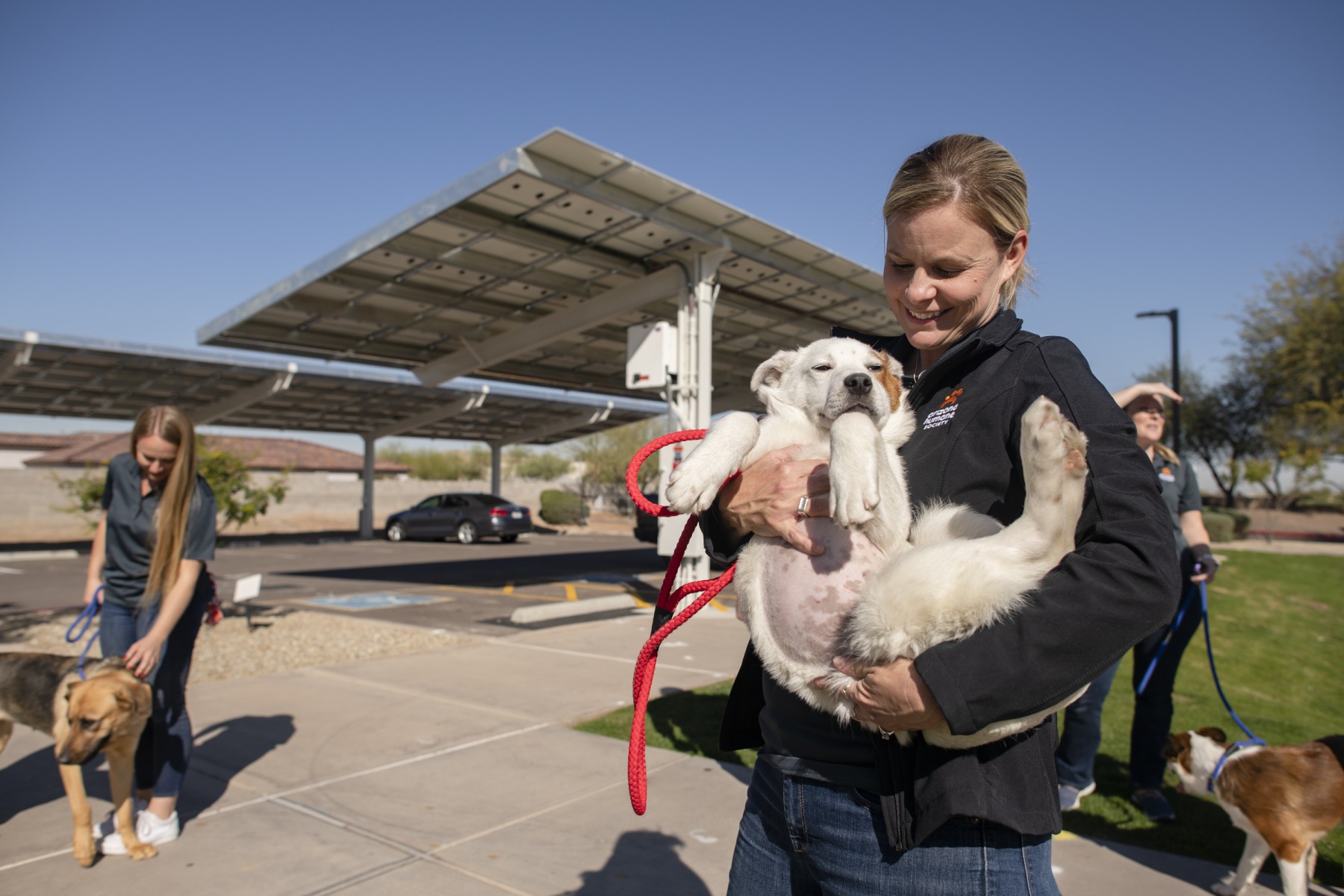 SRP Solar for Nonprofits Applications Open