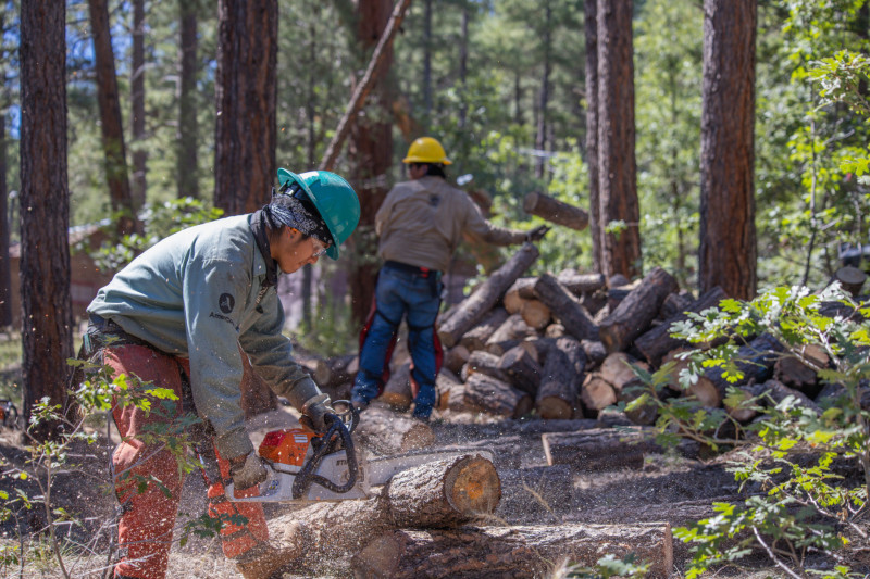 National Forest Foundation and SRP Partner to Improve Watershed and ...