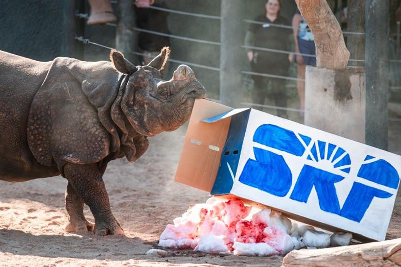 SRP Customers Can Win Energy Efficient Appliances and Find Money-Saving ...