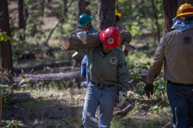 National Forest Foundation and SRP Partner to Improve Watershed and ...