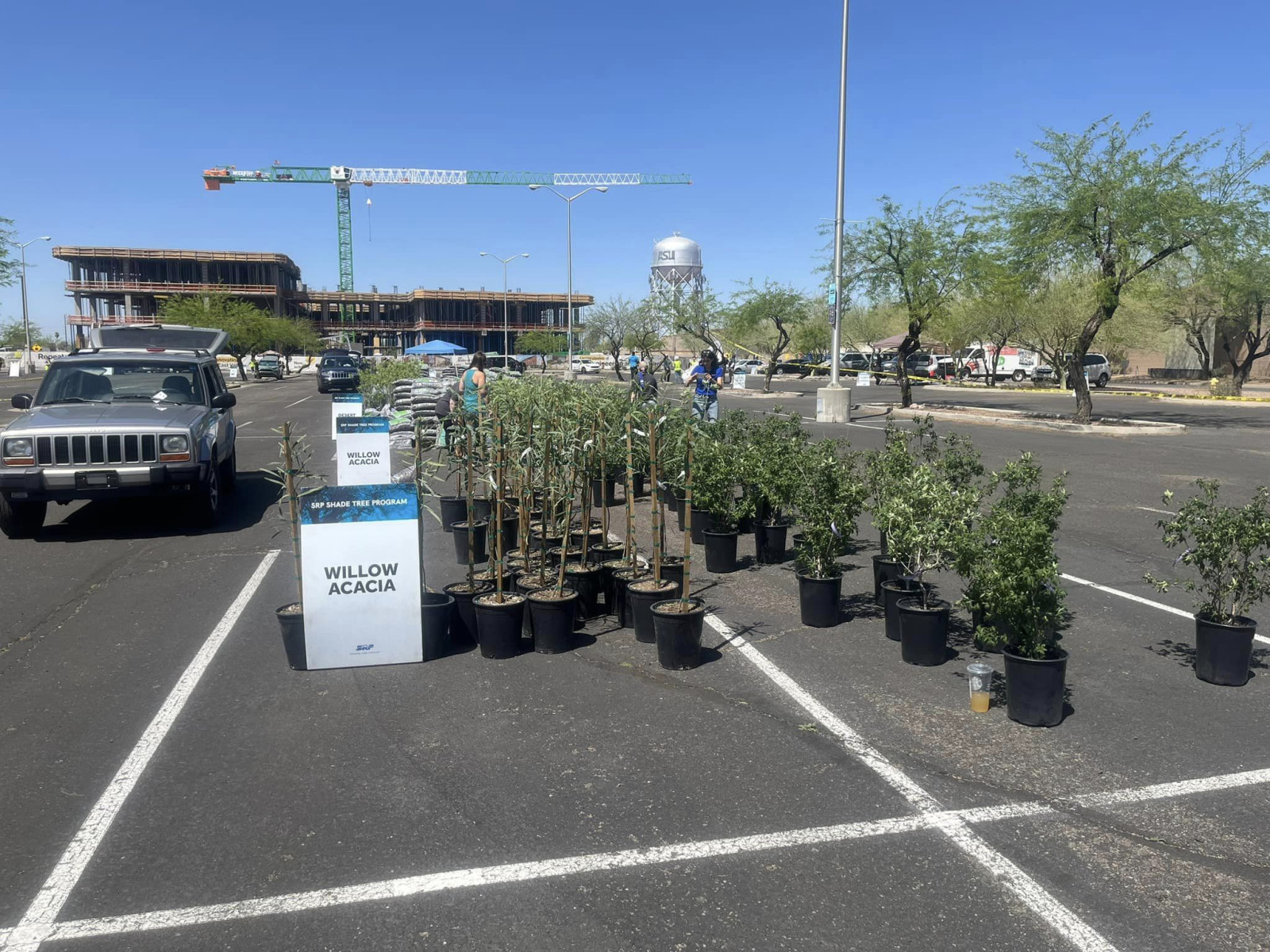 Free Shade Trees: Registration is Now Open for SRP’s Summer 2024 Shade ...