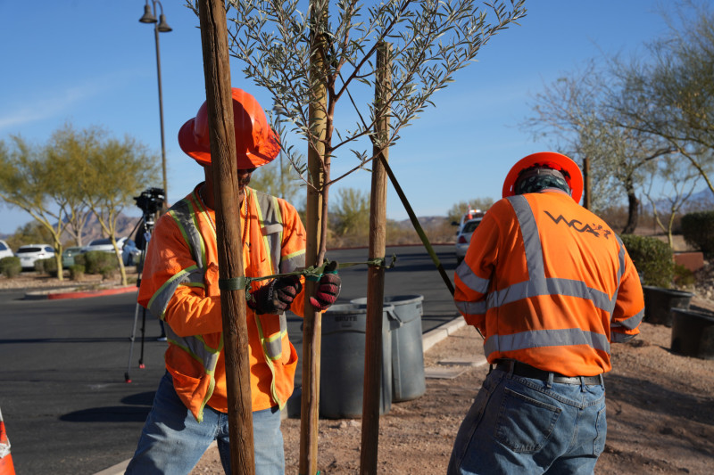SRP Supports Sustainability, Reliability by Planting 264 Trees After ...