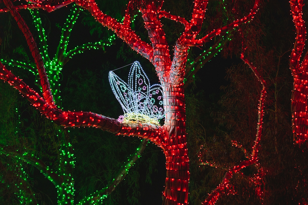SRP Customers Can Double the Fun at ZooLights with Buy One Get One Free Offer