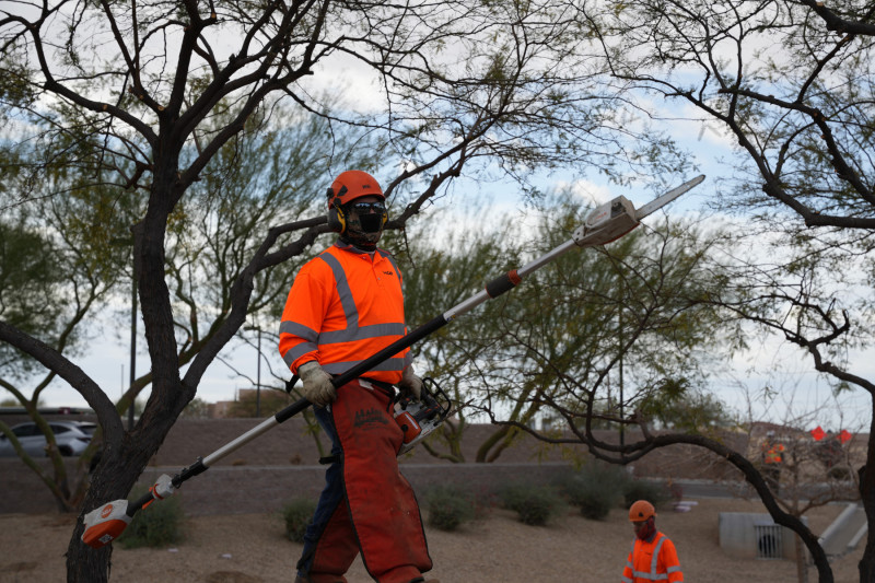 SRP Supports Sustainability, Reliability by Planting 264 Trees After ...