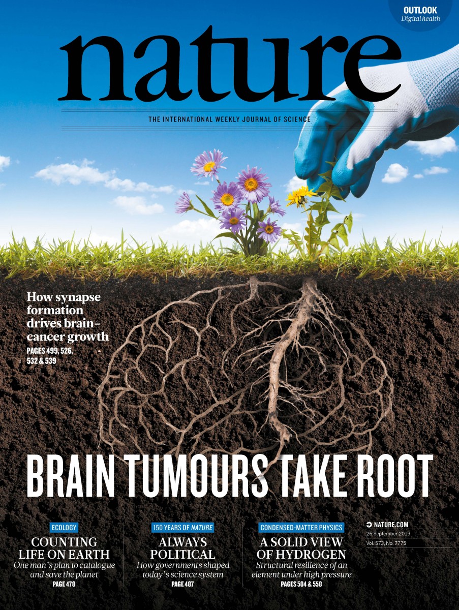 Neurons Incite Brain Tumor Cells Grow