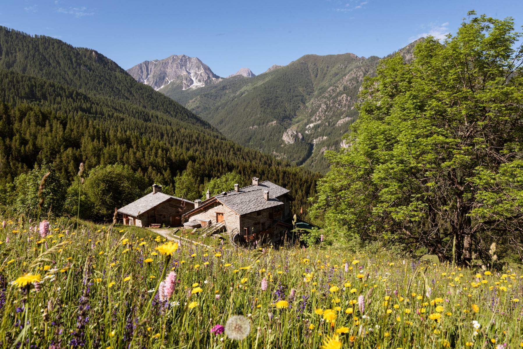 Sagna Rotonda Piemont