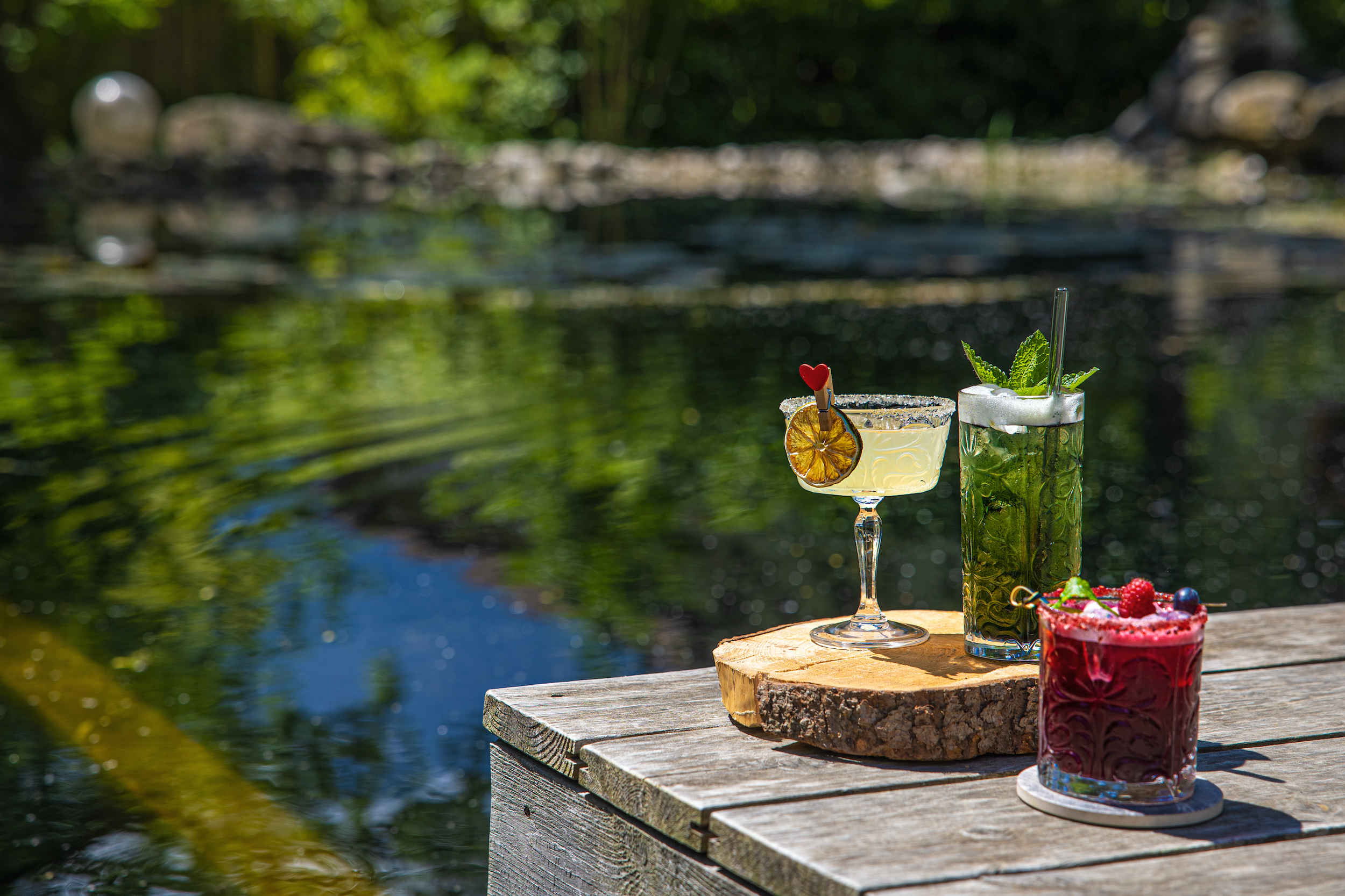 Vegan vacation in Europe: Tips & Green Accommodations