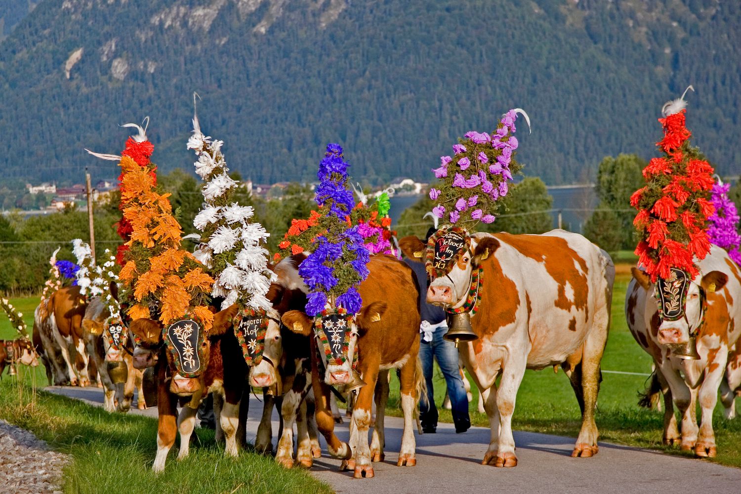 Herbst in Tirol: Almabtrieb in Pfunds erleben