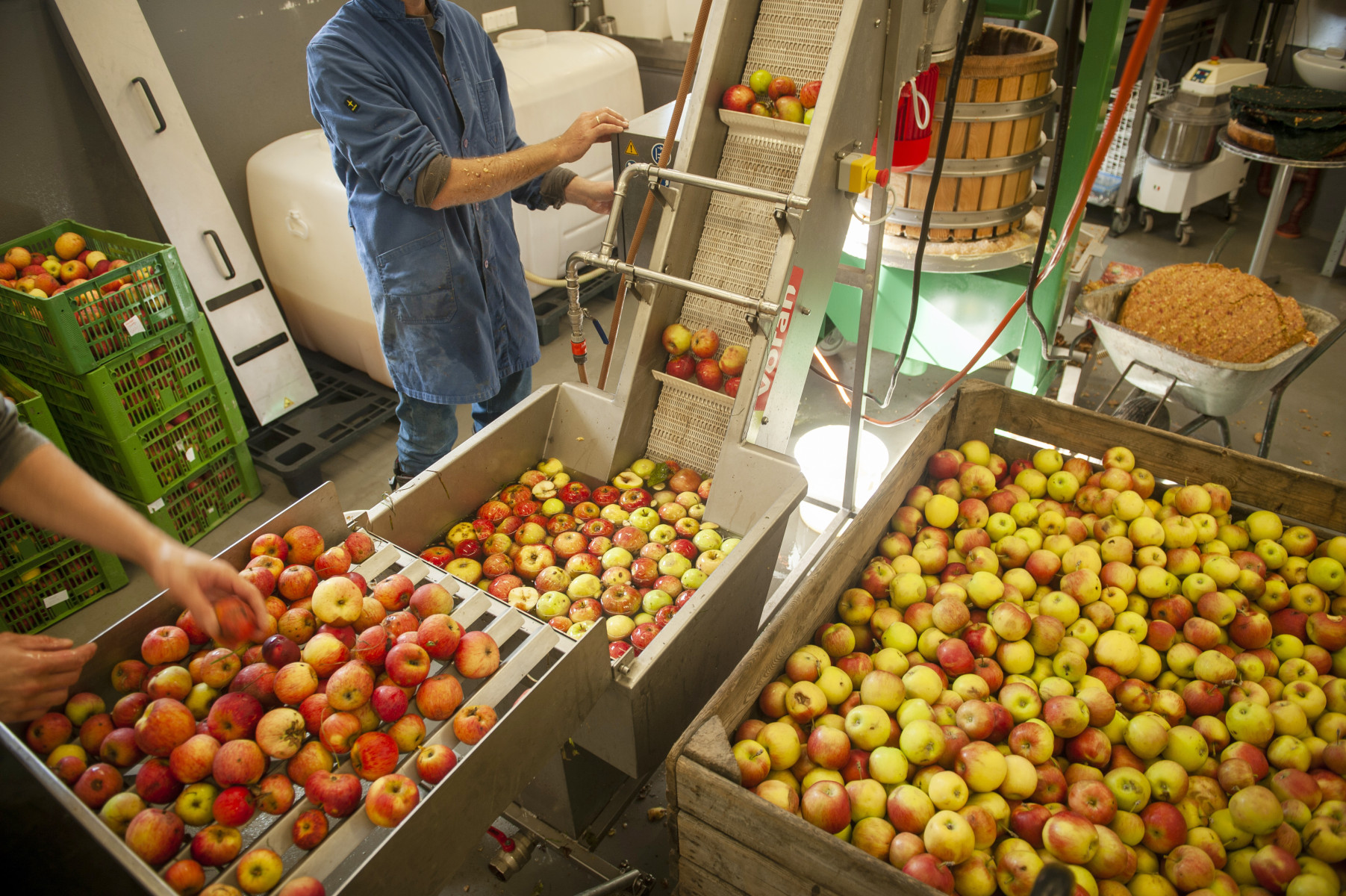 Apple harvest experience with our Green PearlsⓇ partners