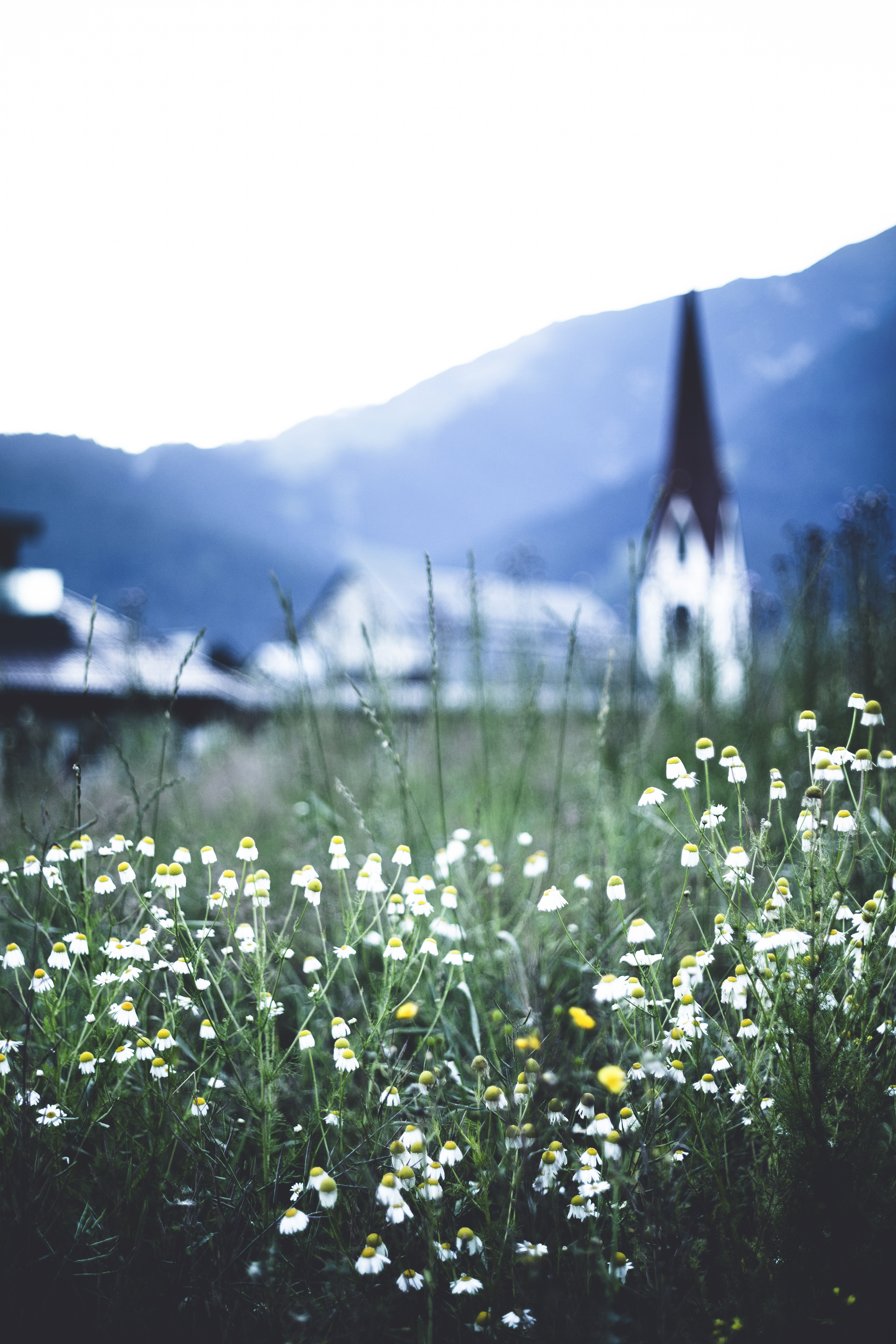 Flower festivals and spring offers in Green Pearls® hotels