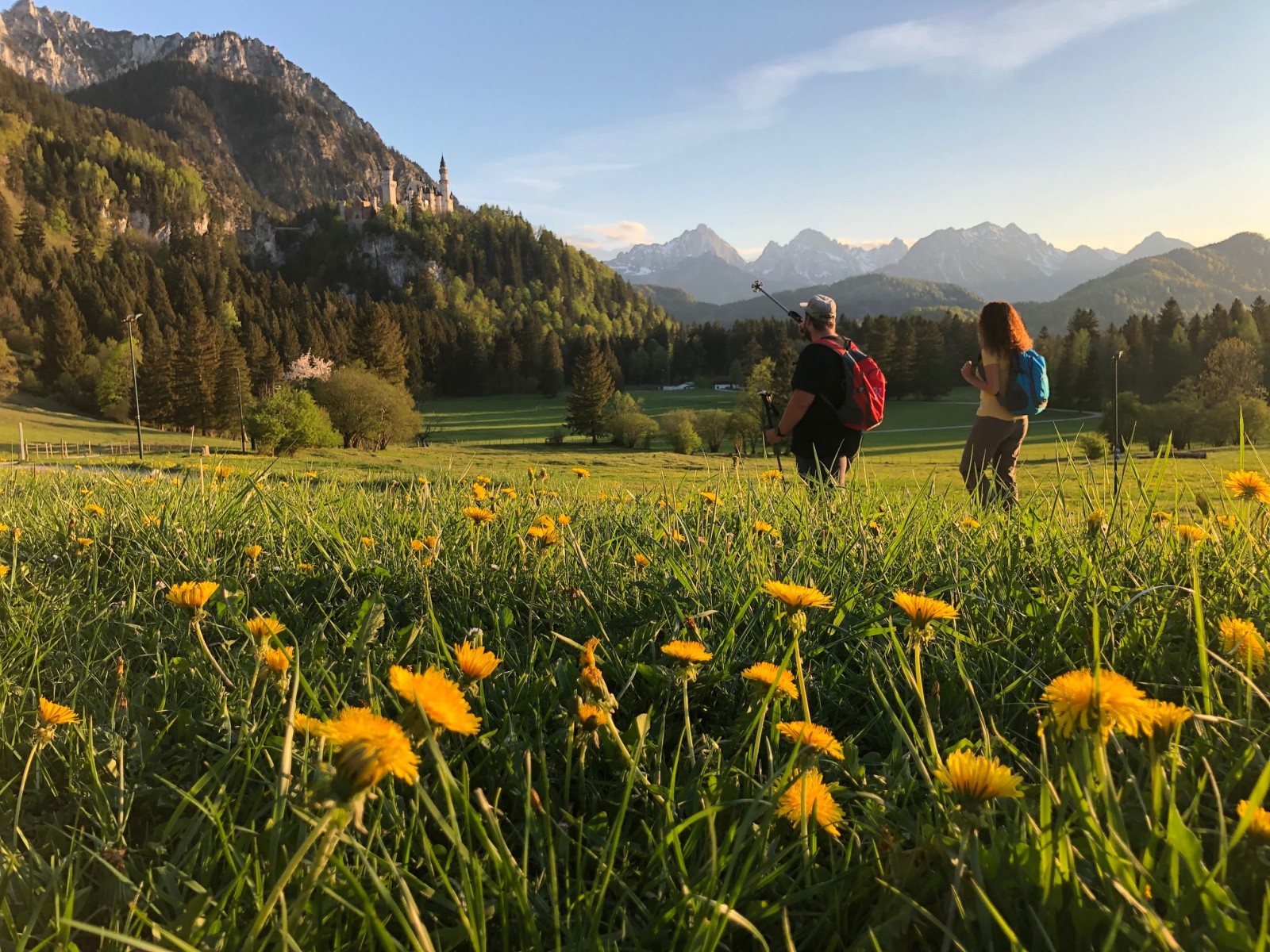 Carbon neutrality in sustainable Green Pearls® accommodation