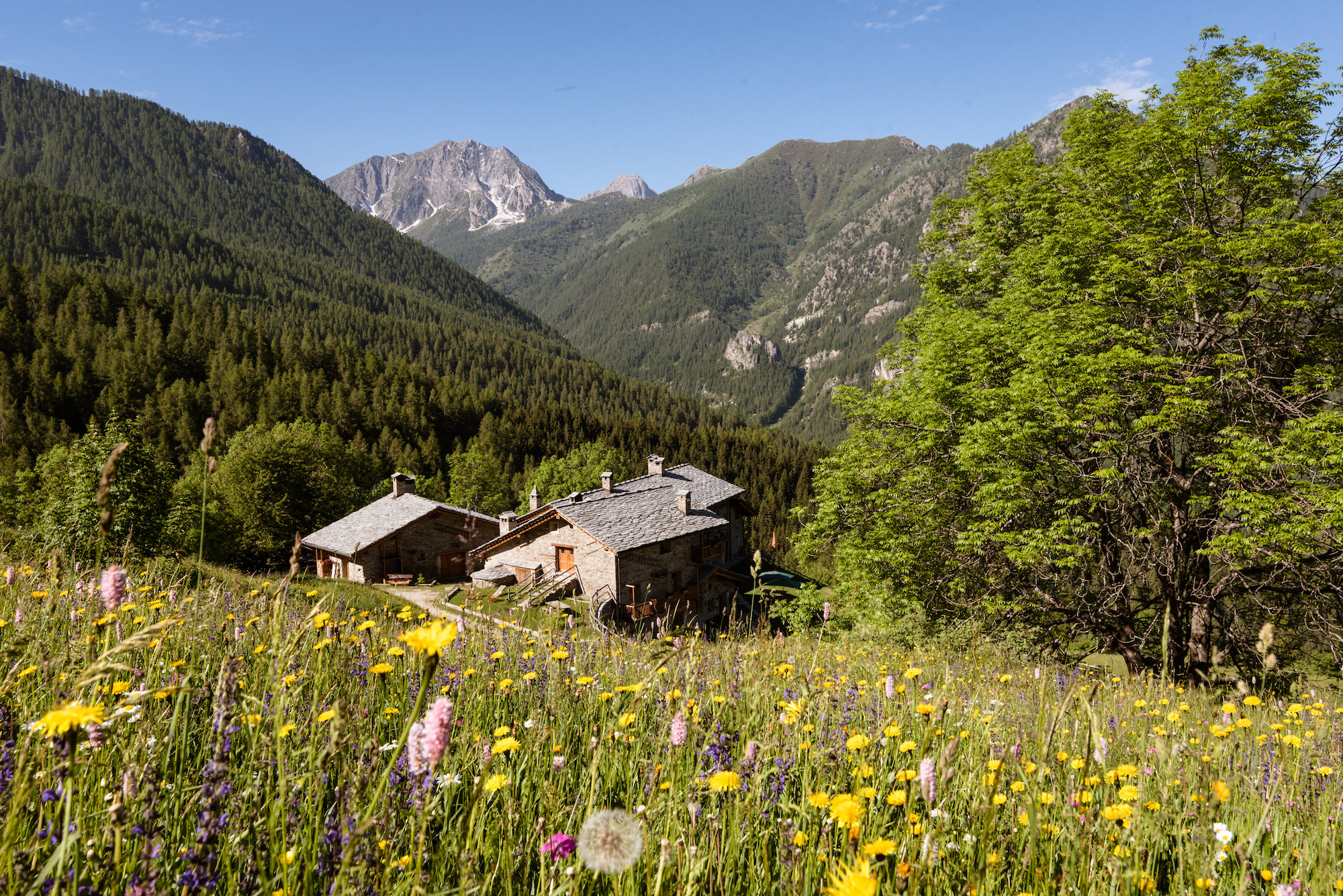 Sagna Rotonda Piemont