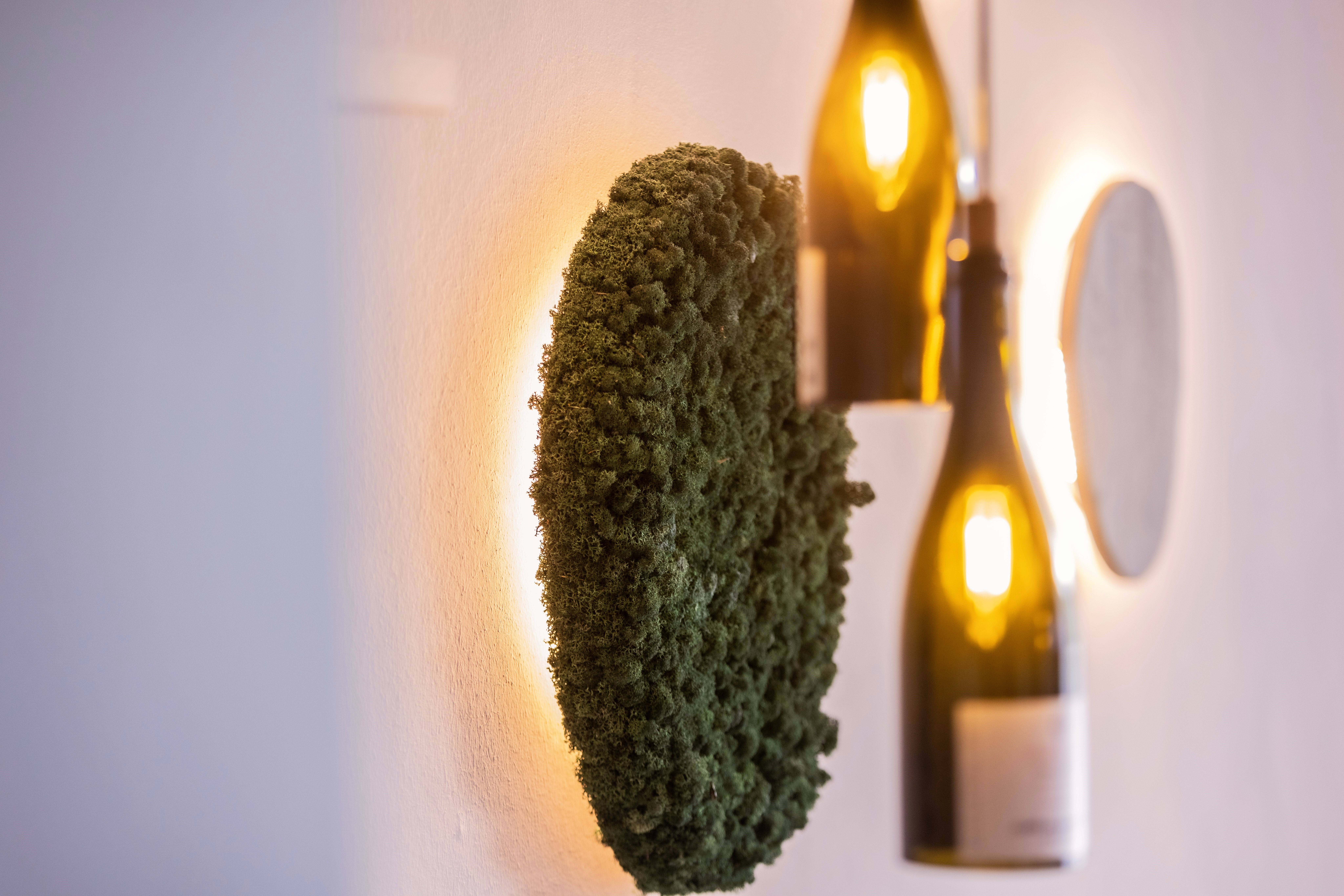 Interview: Stephan Bode about Circular Concept & Hospitality