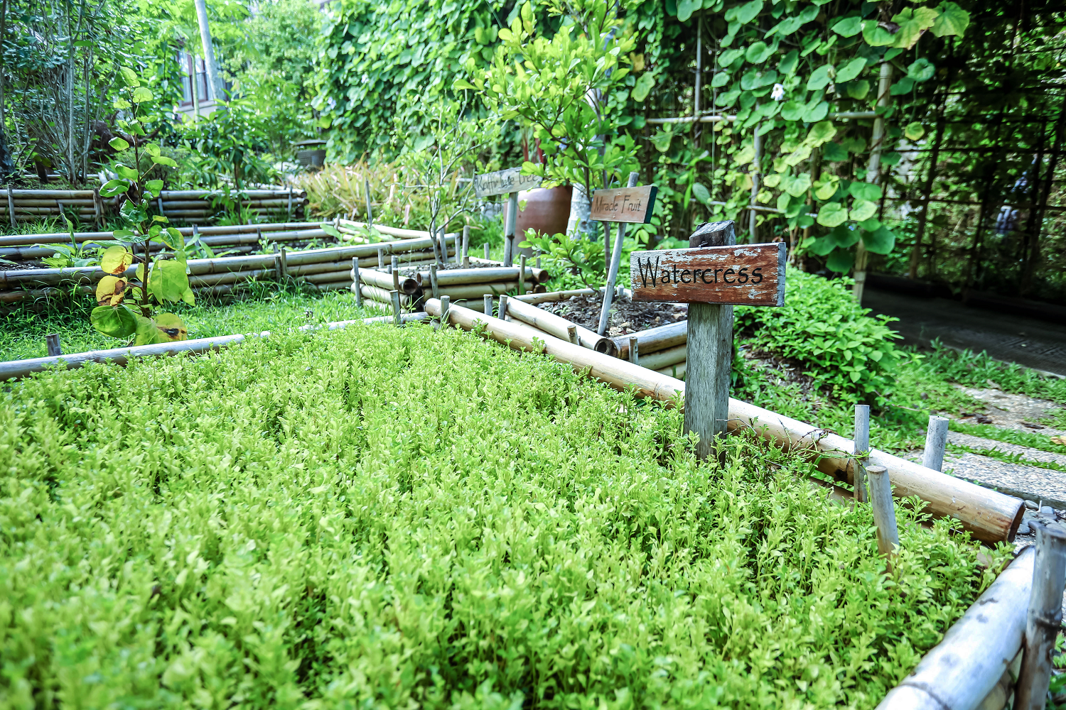 Organic vs. Regional: Dialogue from Sustainable Hospitality