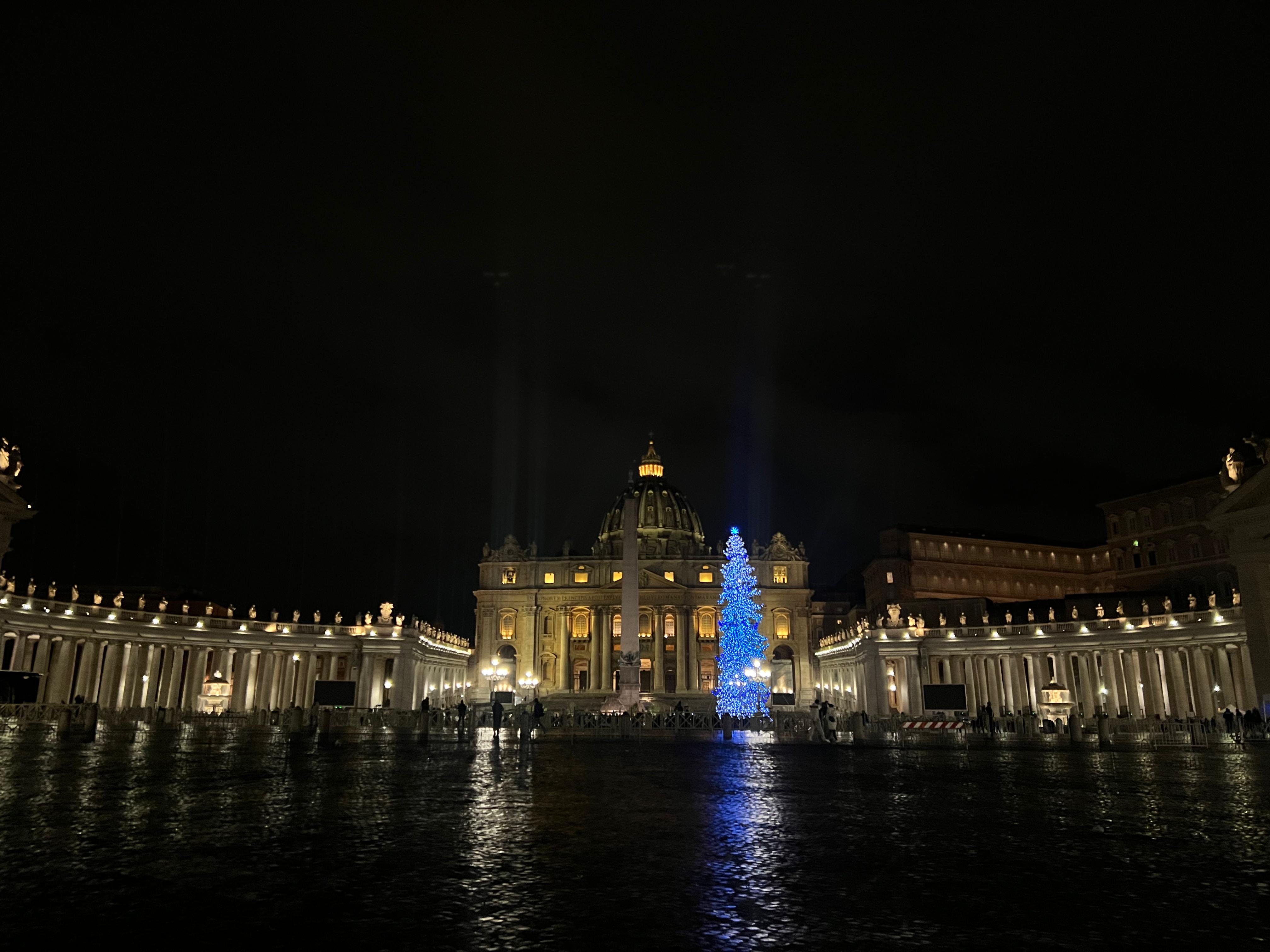 A MAN brings the Christmas tree for the Pope