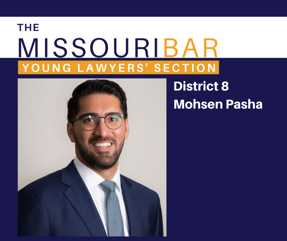 New YLS Council member, Mohsen Pasha