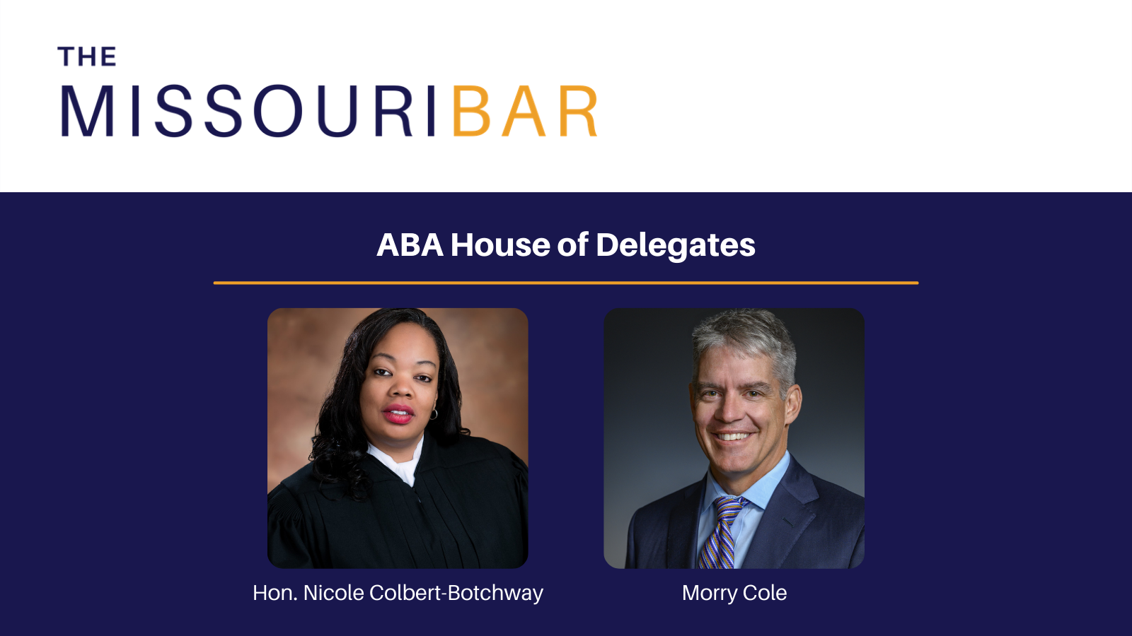 Hon. Nicole Colbert-Botchway, Morry Cole reappointed to ABA House of ...