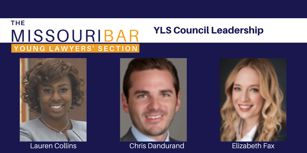 Meet the 2020-2021 YLS Council Leadership
