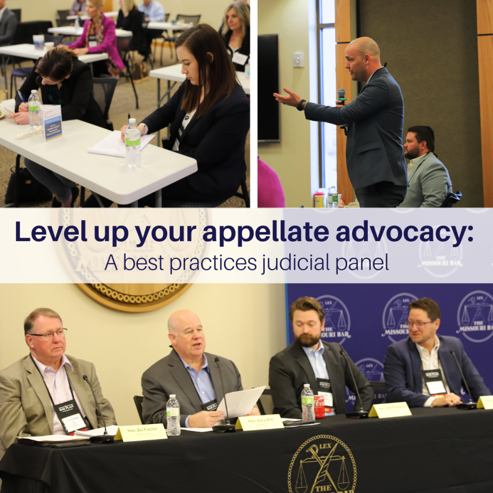 Missouri judges discuss appellate rules, formatting briefs, best type ...