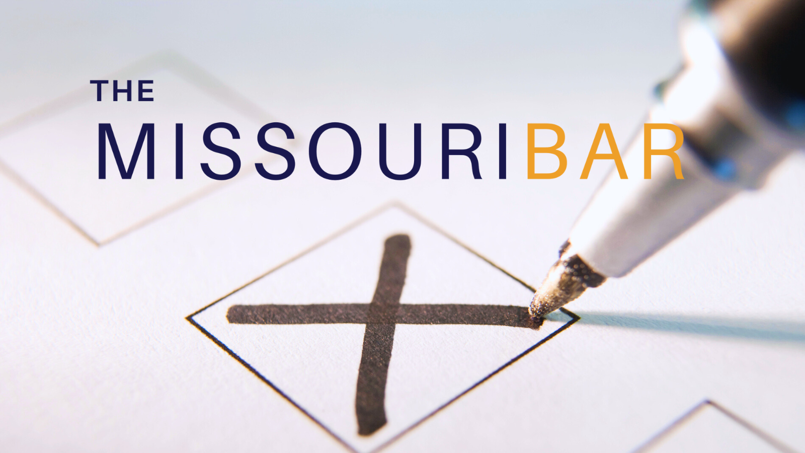 How do I vote in the Board of Governors and Young Lawyers' Section ...