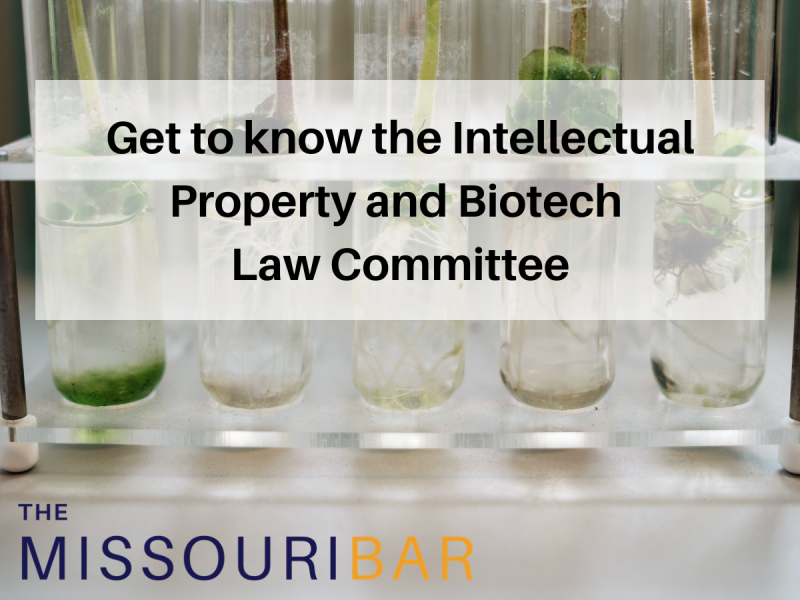Intellectual Property and Biotech Law Committee provides education ...